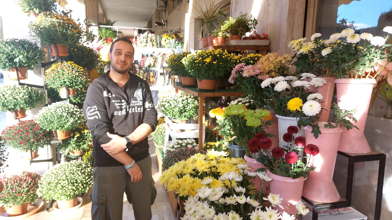 Crisantemi fino a 3 euro l’uno: i rincari e l’estate prolungata fanno ...