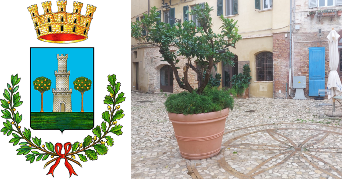 Perché il vaso con l’arancio, simbolo di Grottammare, viene spostato ...
