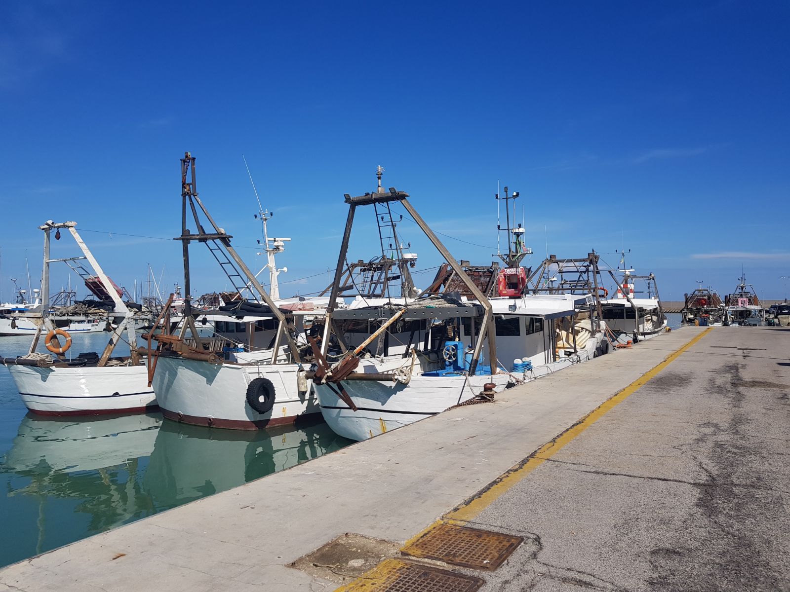 Fragoletti e Paci: «No alla certificazione Igp per la vongola ...